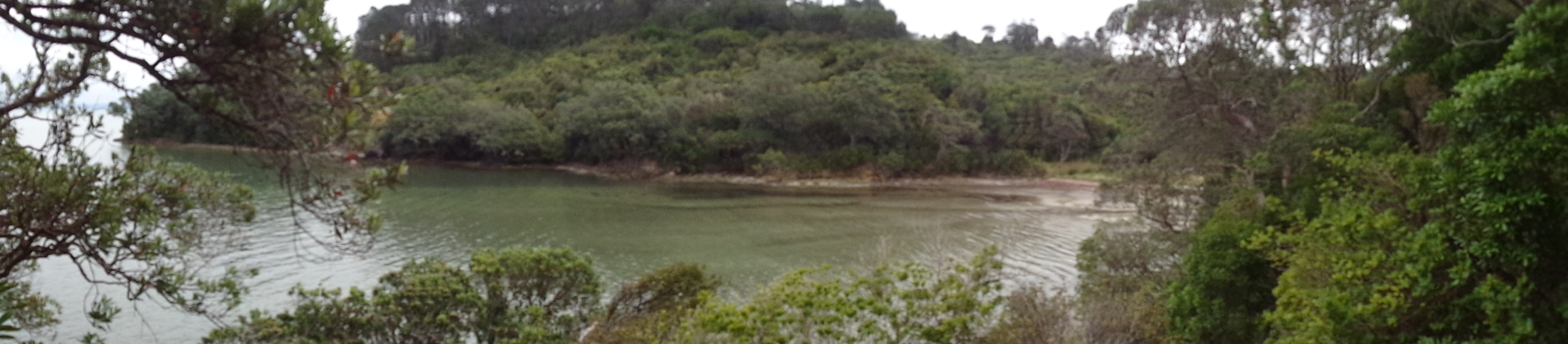Wattle Bay/Taunahi